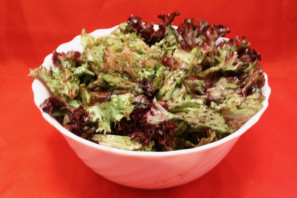Lollo-rosso-Salat - Nudelheissundhos